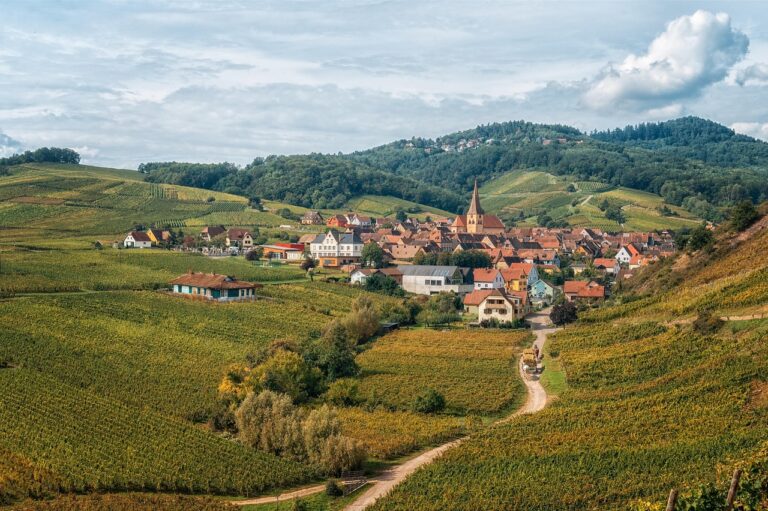 Elsass mit Kindern | 21x Ausflüge - Reisetippsmitkindern.de